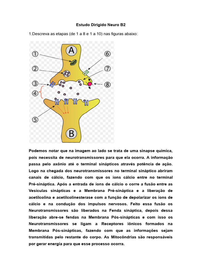 Estudo Dirigido Geovanny Dias Silbernagel 0012946 | PDF
