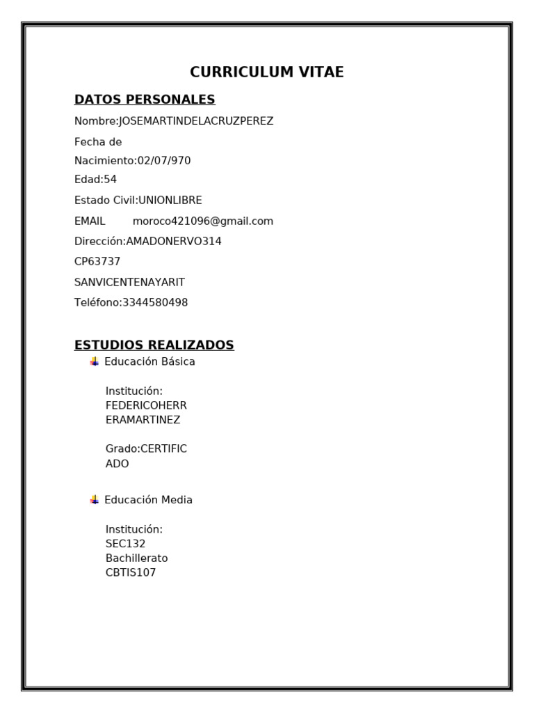 Curriculum Vitae en Blanco | PDF