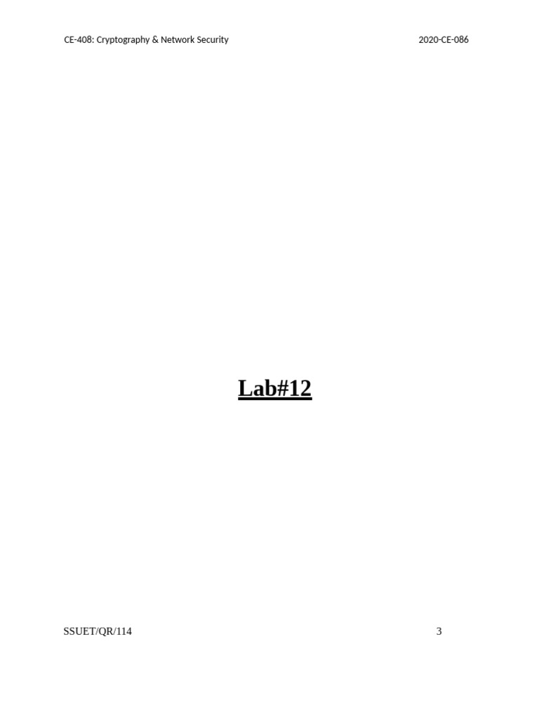 Crypto Lab 12 | PDF