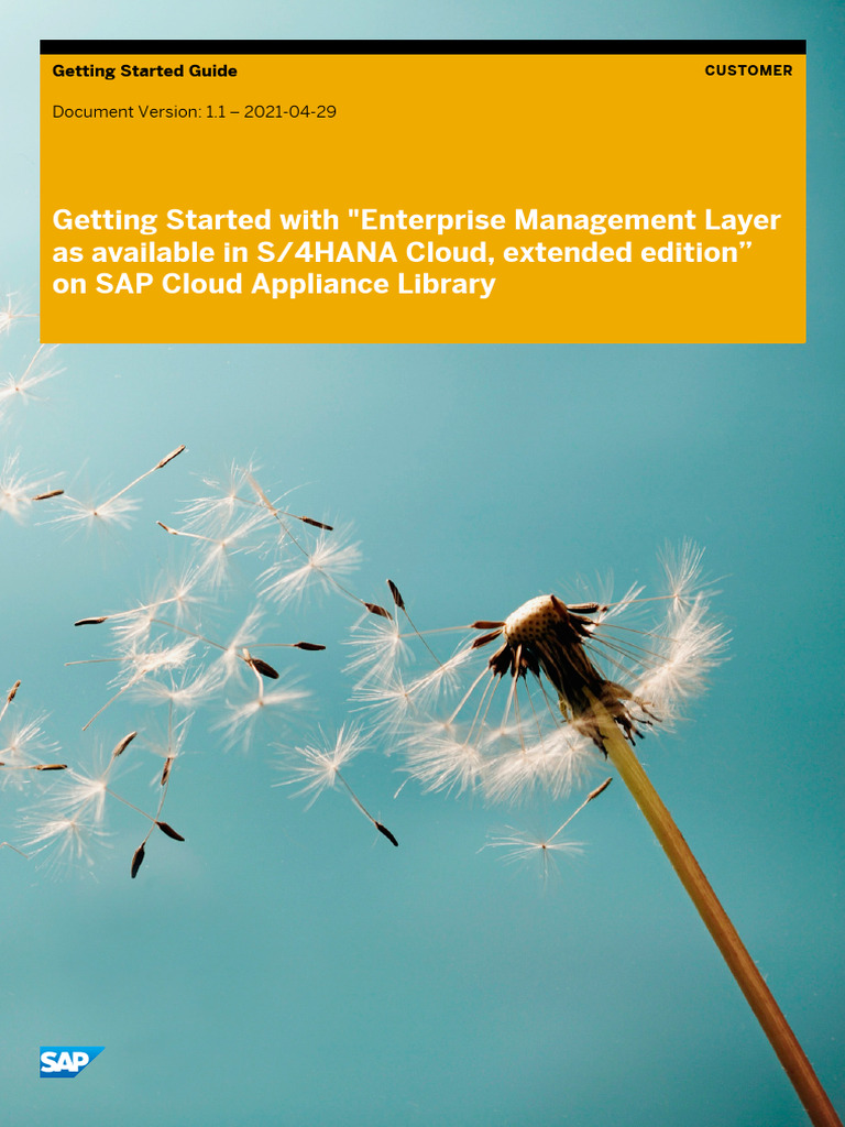 EML Guidelines for SAP S/4HANA Cloud | PDF | Cloud Computing | Accounting