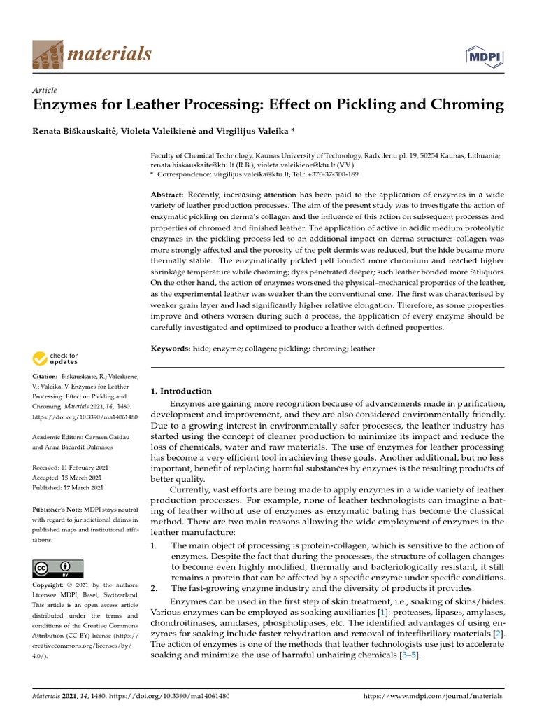 Enzymes for Leather Processing Effect On | PDF
