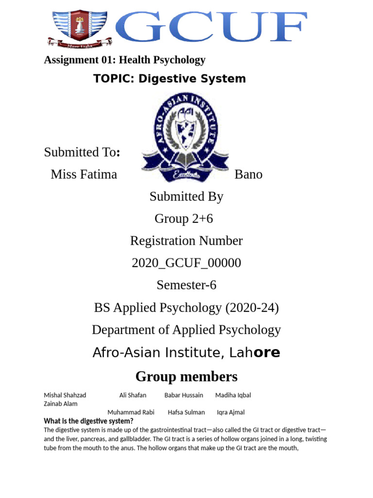 health assignment | PDF