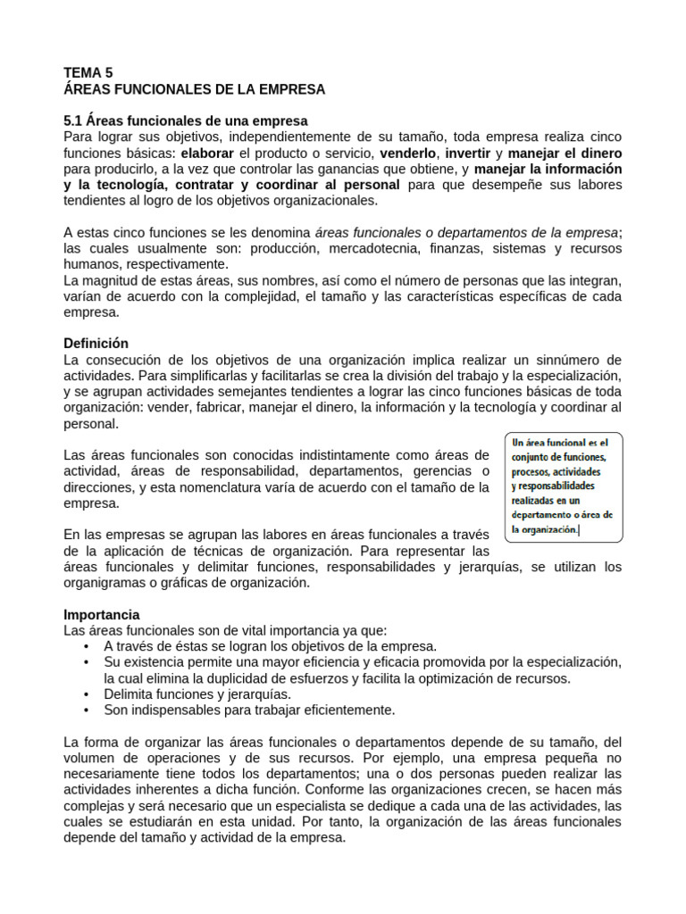 TEMA 5 AREAS FUNCIONALES DE LA EMPRESA | PDF