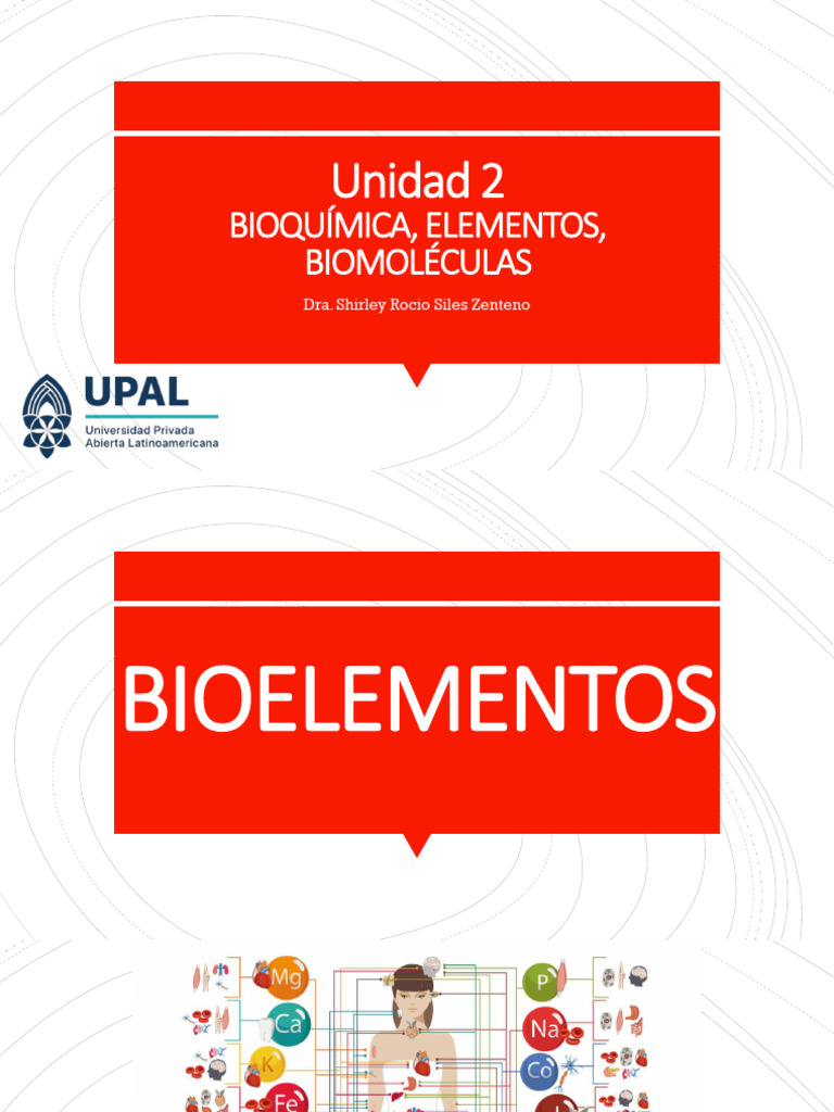 Unidad 2..biomoléculas Bioelementos - Diapositivaspdf | PDF