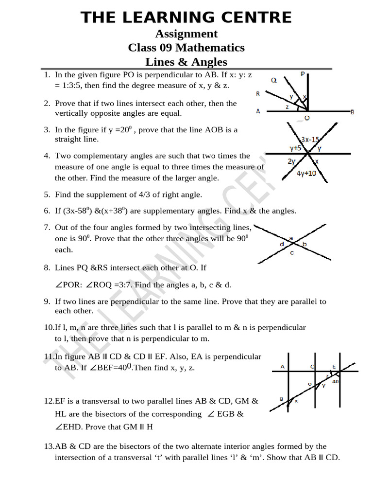 9 Assignment lines & angles | PDF