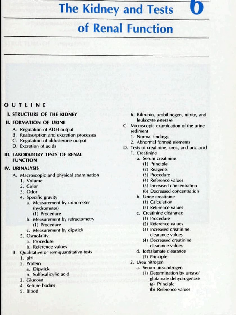 Kidney function test notes | PDF