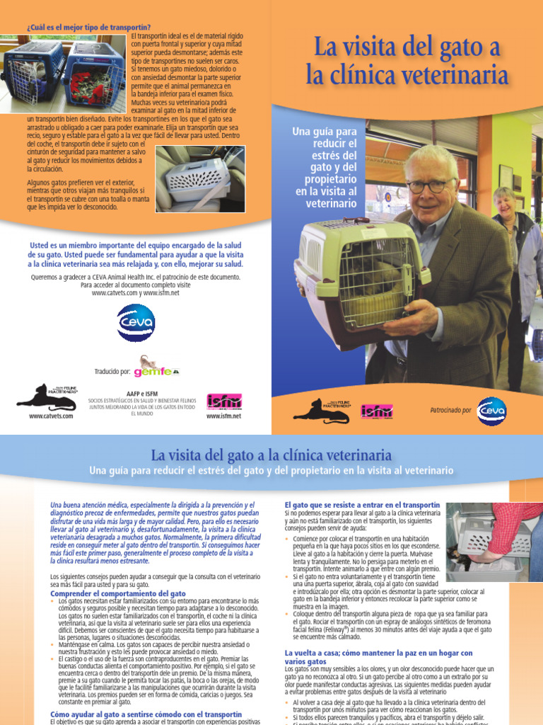 Kyle Animal Hospital Getting Your Cat To The Vet Spanish | PDF