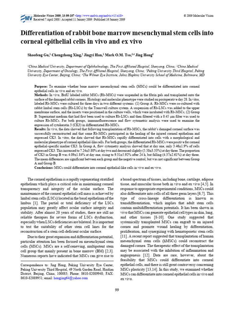Differentiation of Rabbit Bone Marrow Mesenchymal Stem Cells | PDF
