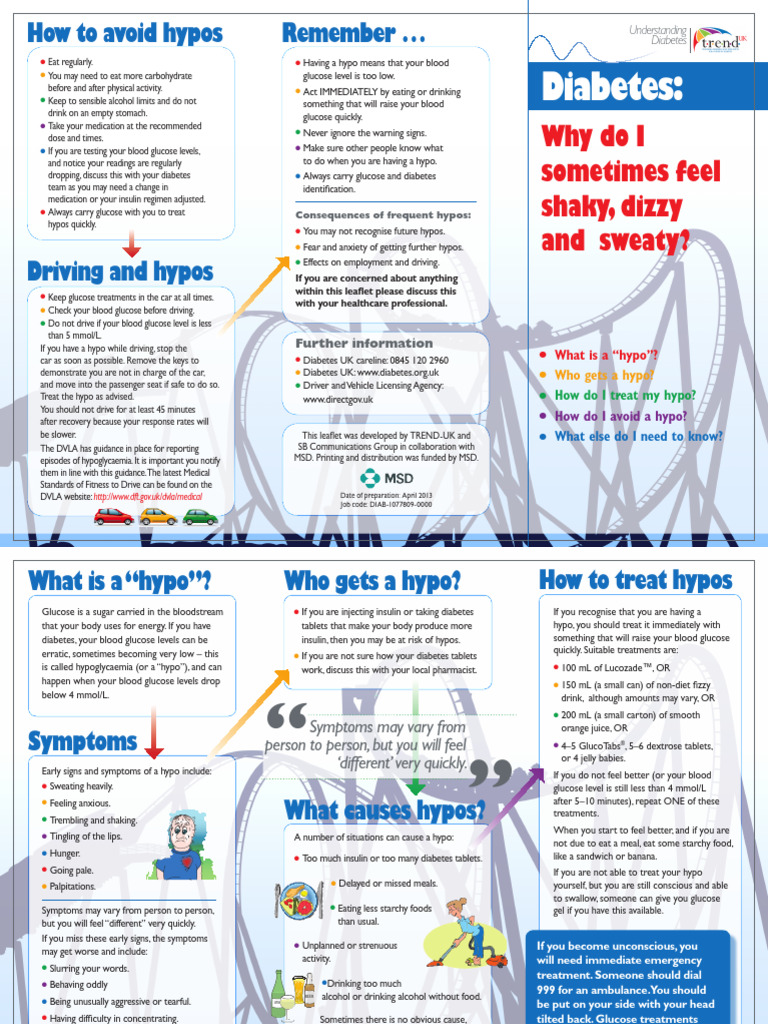 Hypo-leaflet-V4 | PDF
