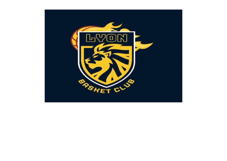 Logo Lyon | PDF
