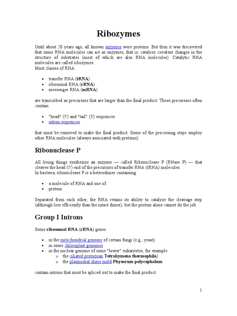 Ribozymes: Ribonuclease P | PDF | Rna | Intron