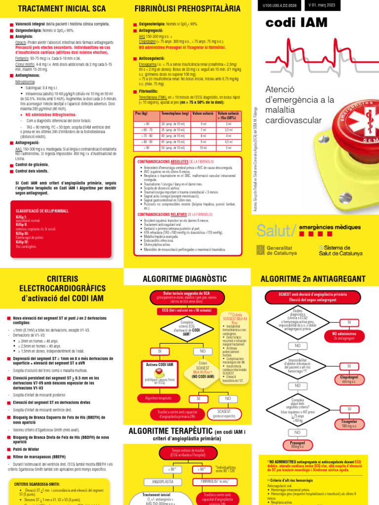 Tríptic CODI IAM | PDF