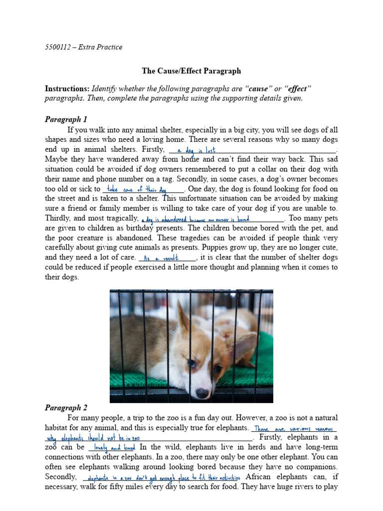 Cause Effect Paragraphs Extra Practice - Students | PDF