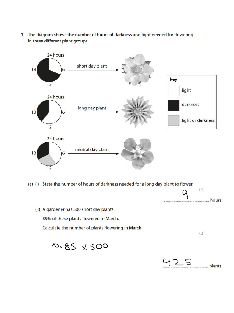 Photosynthesis - Plant Growth QP | PDF