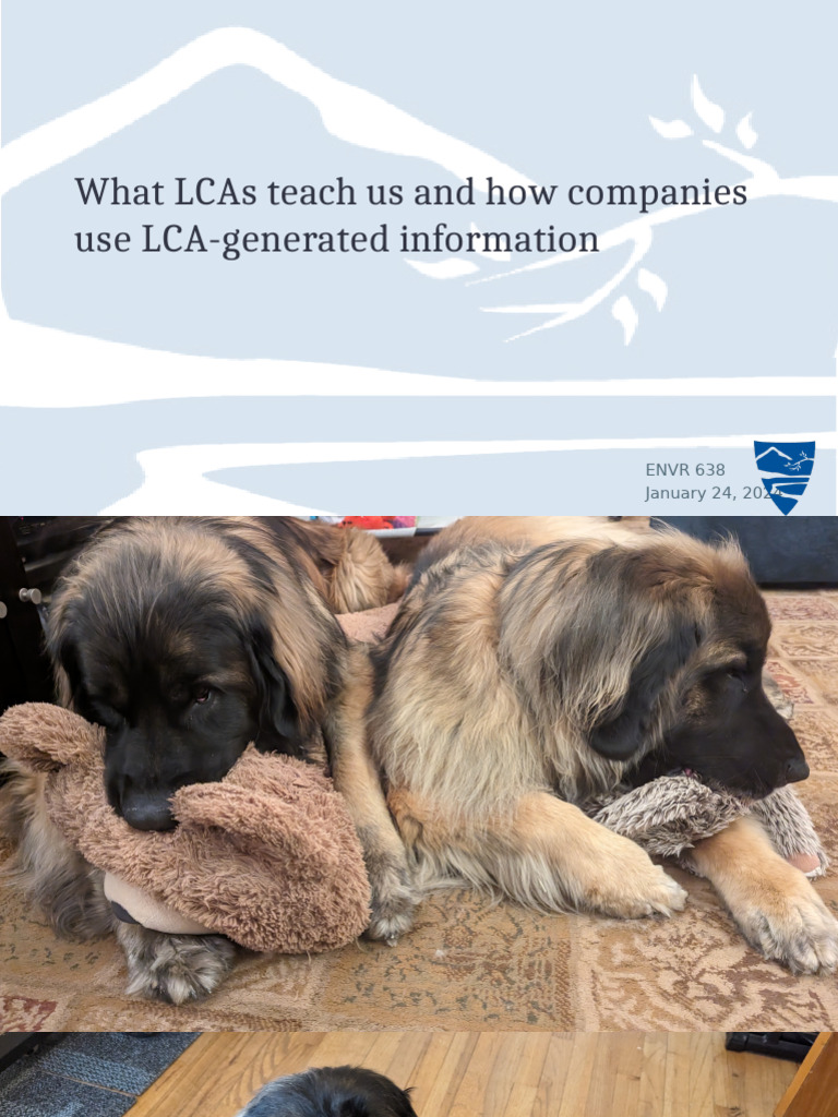 4 - Management Uses of LCA | PDF