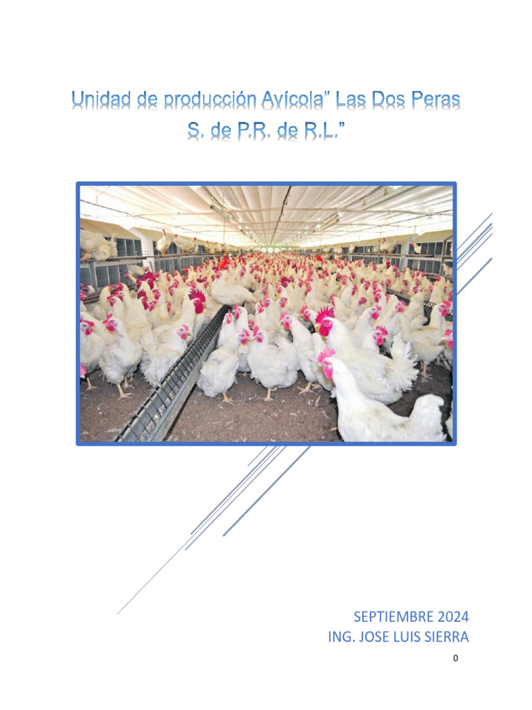 Prod. de Huevo Libre de Jaula | PDF