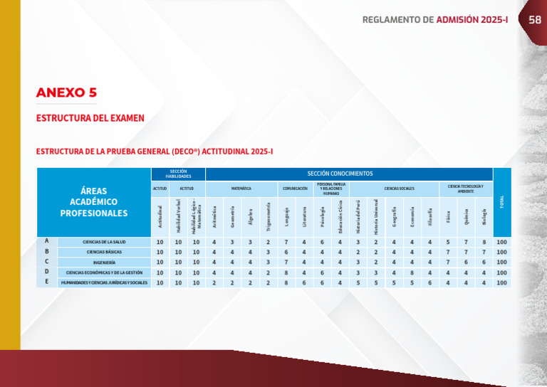 ESTRUCTURA 2025 I UNMSM | PDF