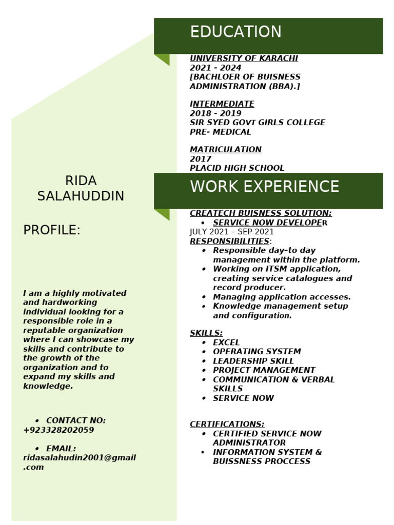Education: Rida Salahuddin Profile | PDF