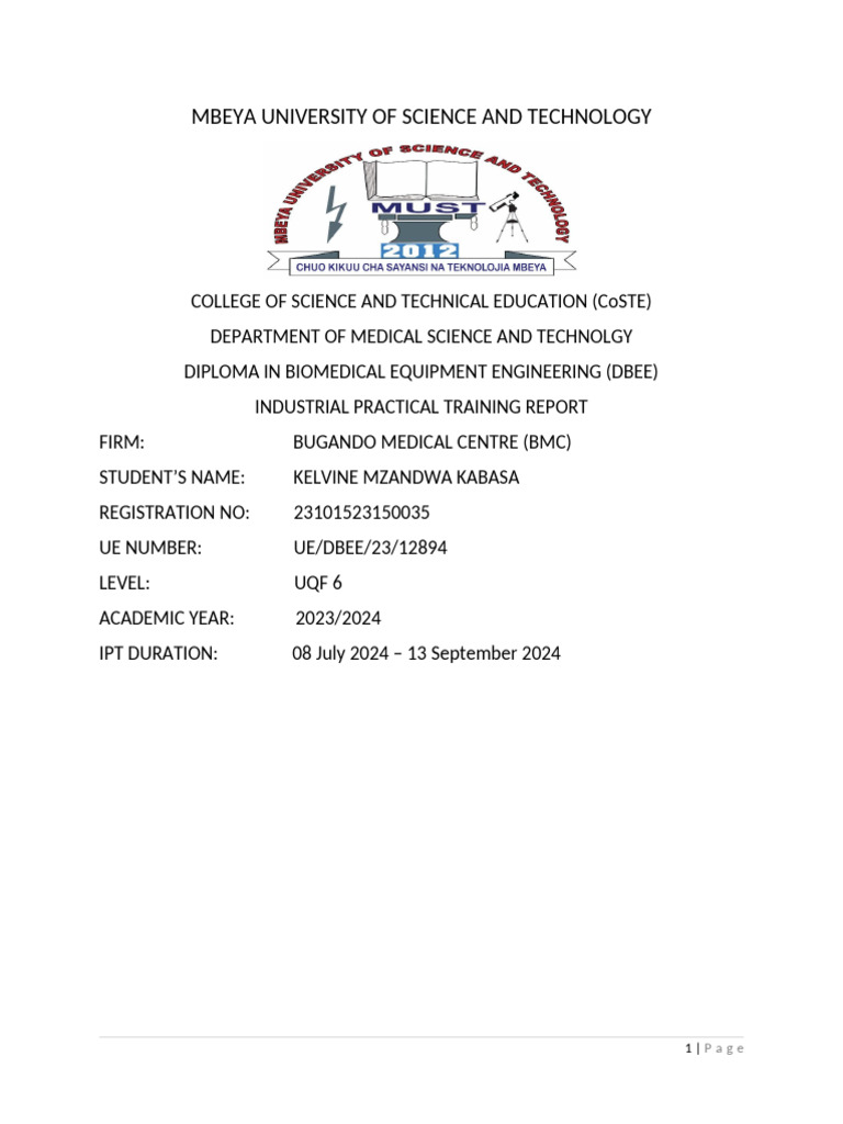 IPT REPORT final | PDF