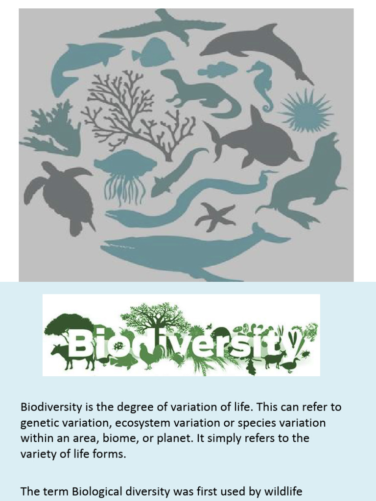Threats To Biodiversity and Endangered Animals | PDF