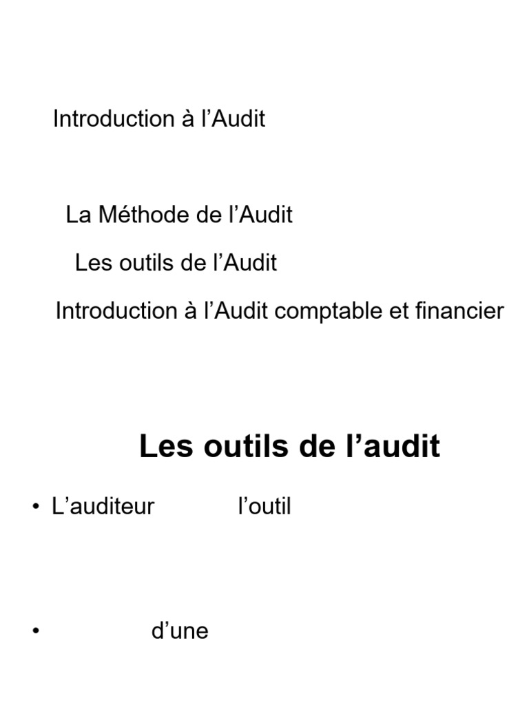 IV - Les Outils de L - Audit | PDF