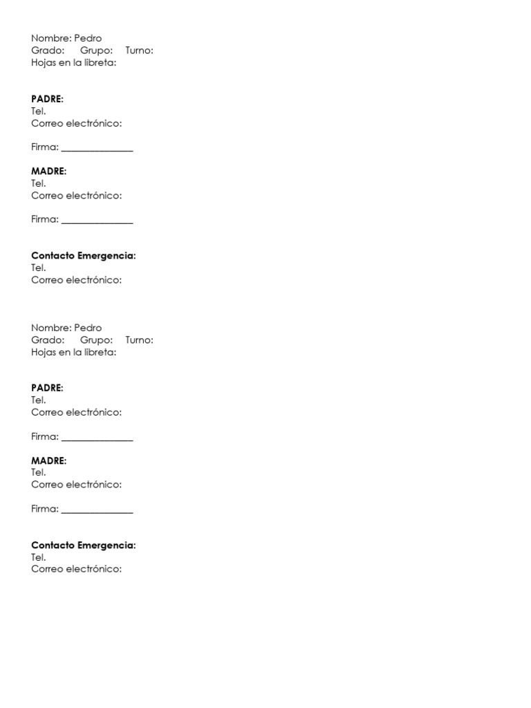 Formato (Libretas) | PDF