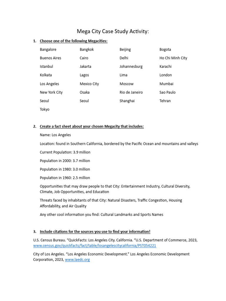 9-11-24 Mega City Case Study Activity | PDF