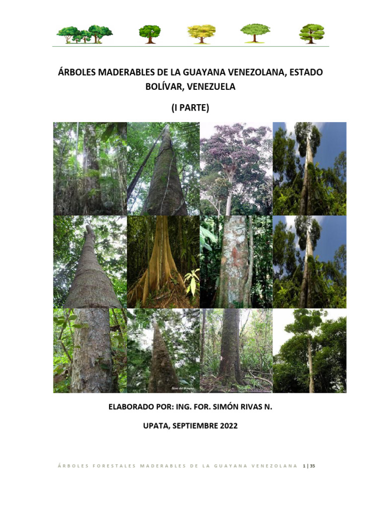 ÁRBOLES FORESTALES DE LA GUAYANA VENEZOLANA | PDF