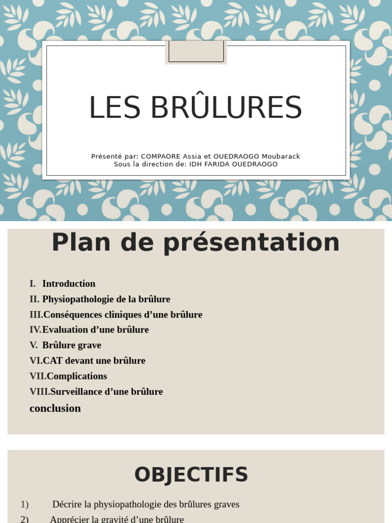 Expose Sur Les Brulures-1 | PDF