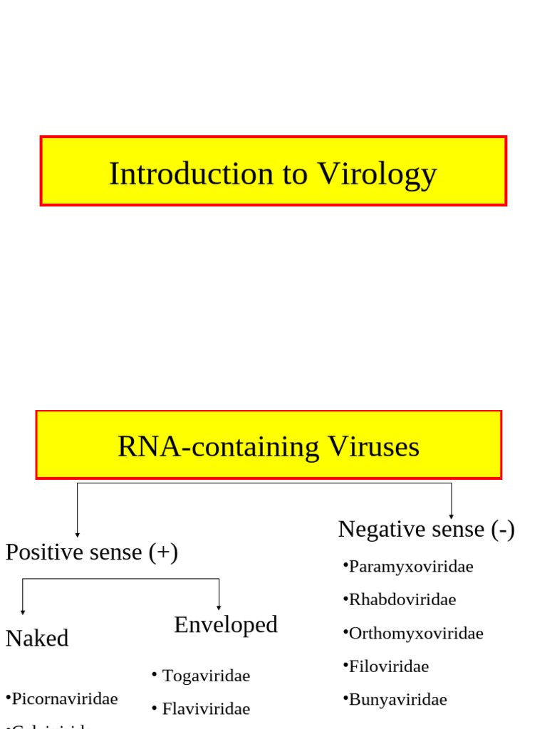 Animal Virology Lecture 3 | PDF