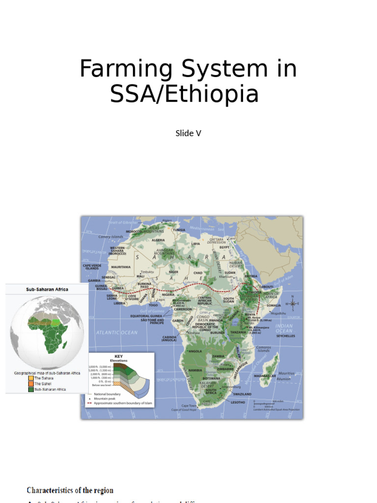 Farming System in SSA | PDF