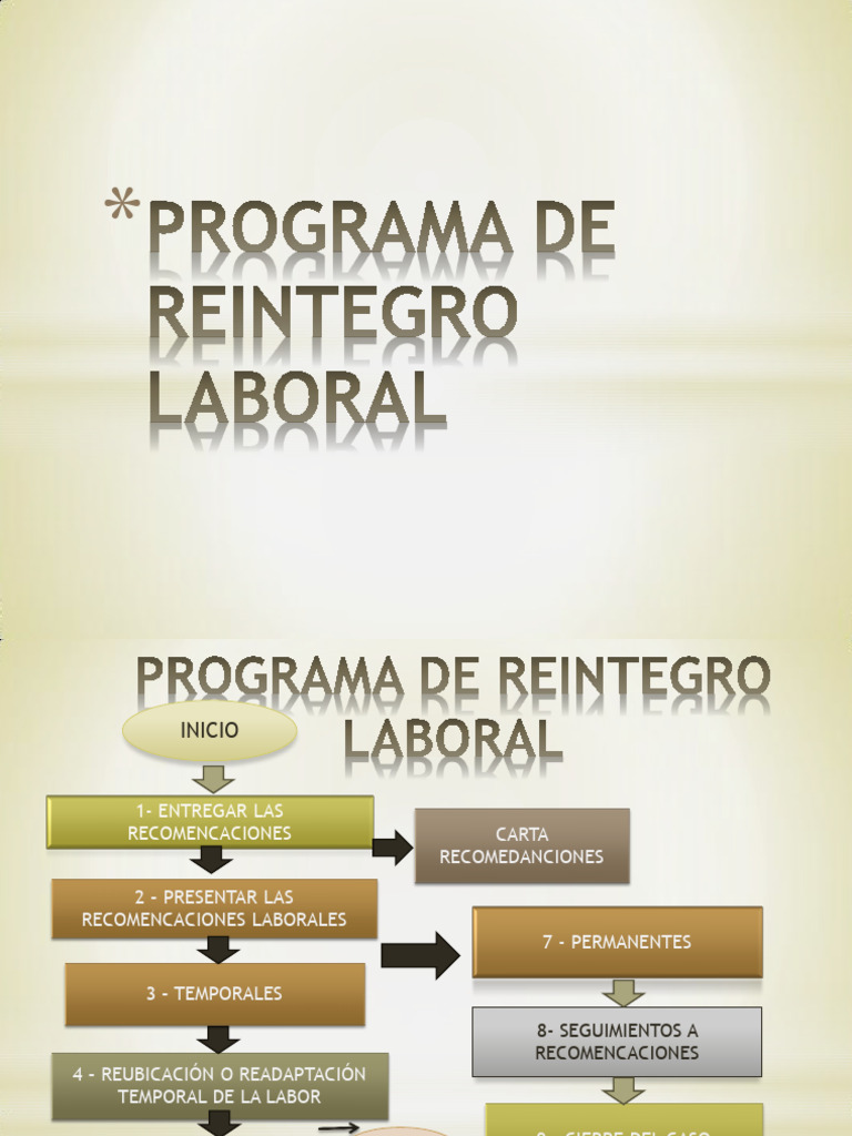 PROGRAMA DE REINTEGRO LABORAL | PDF