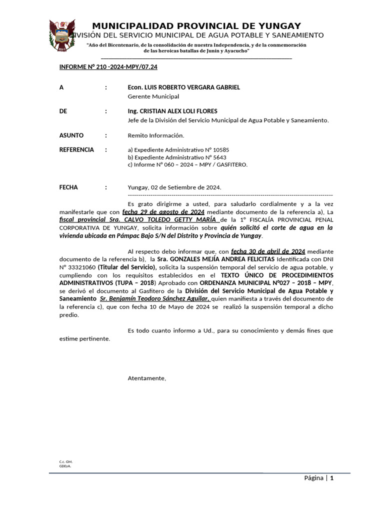 Informe #210 - 2024 - Remito Informacion | PDF