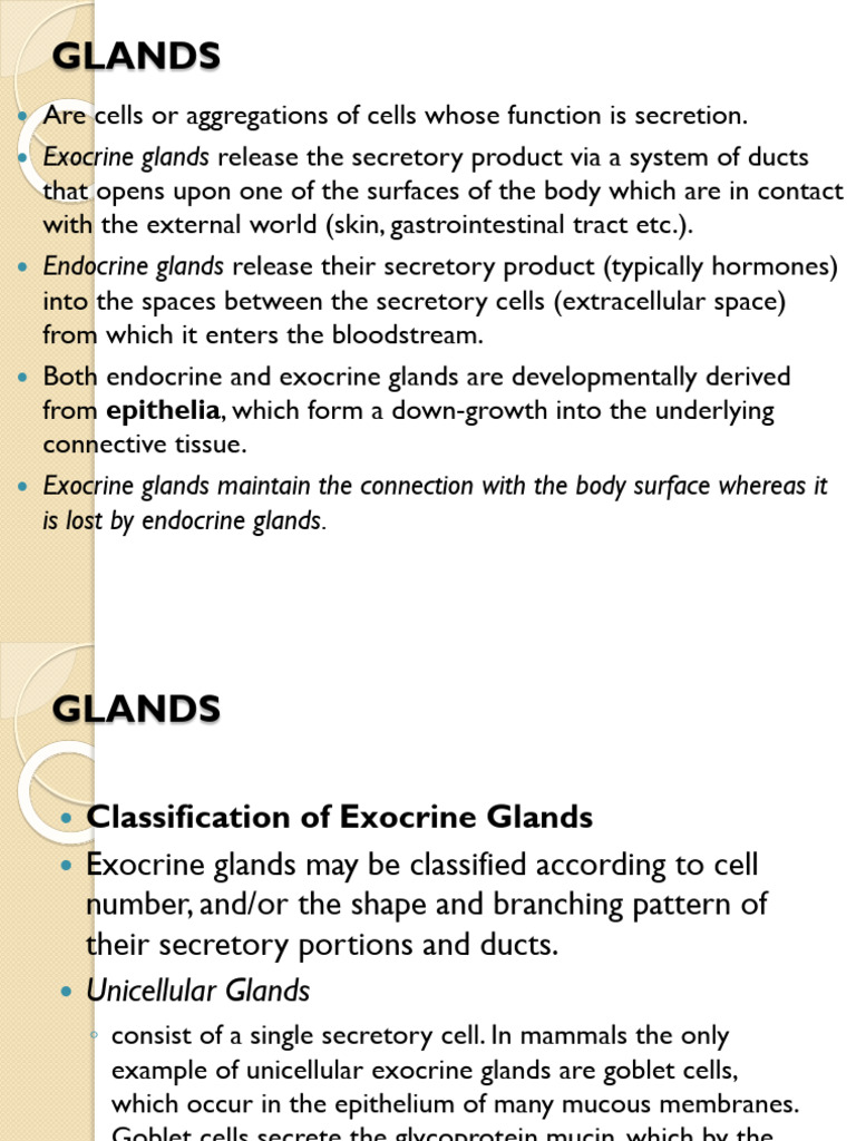 Glandular Epithelium | PDF