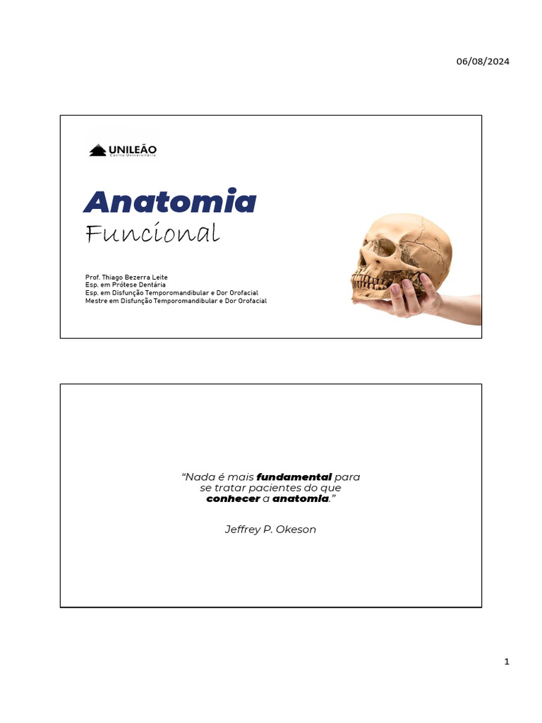 Aula Anatomia Funcional | PDF