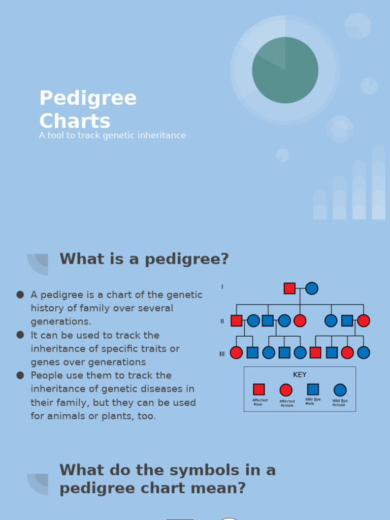 (Template) Pedigree Charts | PDF