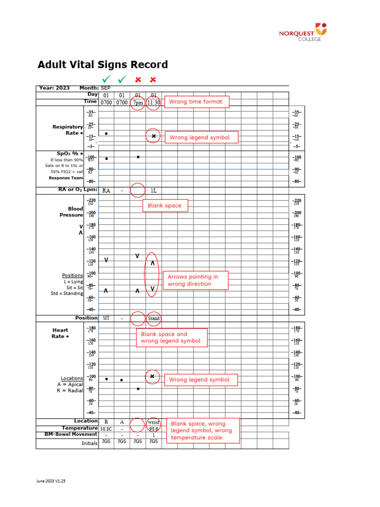 Unit 3 Documentation Sample - Vital Signs Pain Flowsheet Narrative | PDF