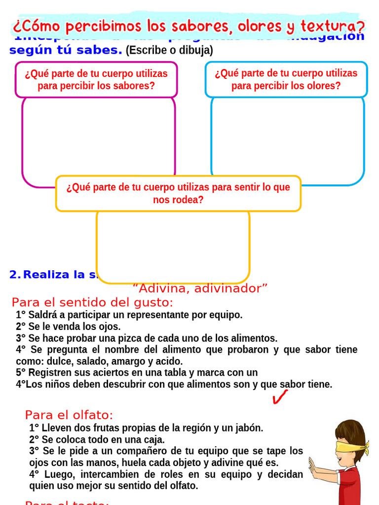 Ficha Cómo Percibimos Los Olores, Sabores y Textura | PDF
