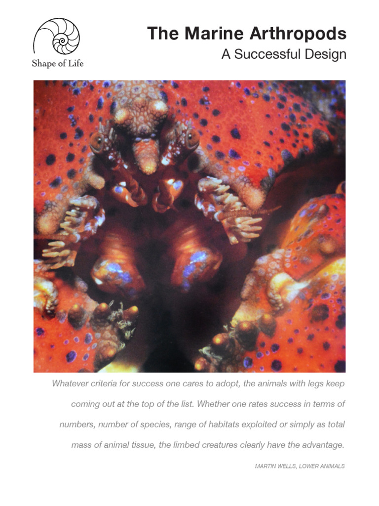 Marine Arthropods | PDF