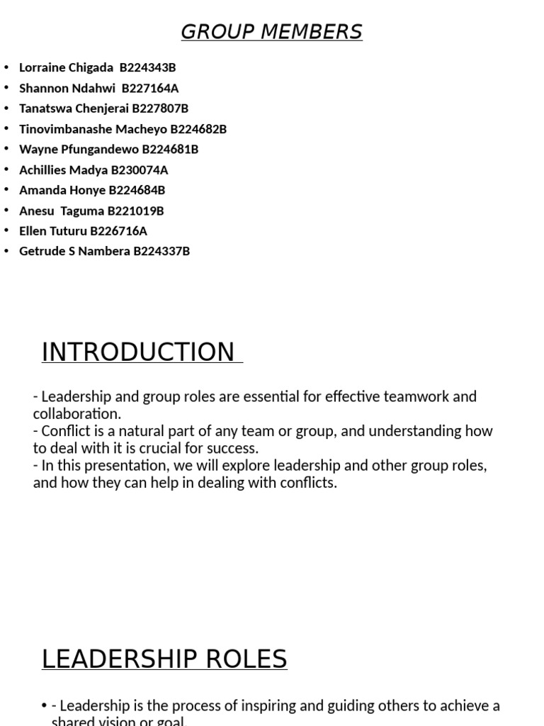 Hsw217 Group 6 Leadership and Group Roles | PDF