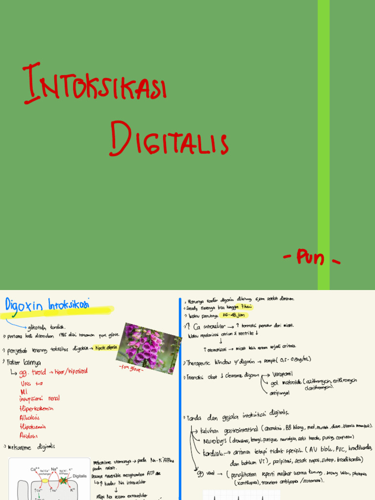 Intoksikasi Digitalis | PDF