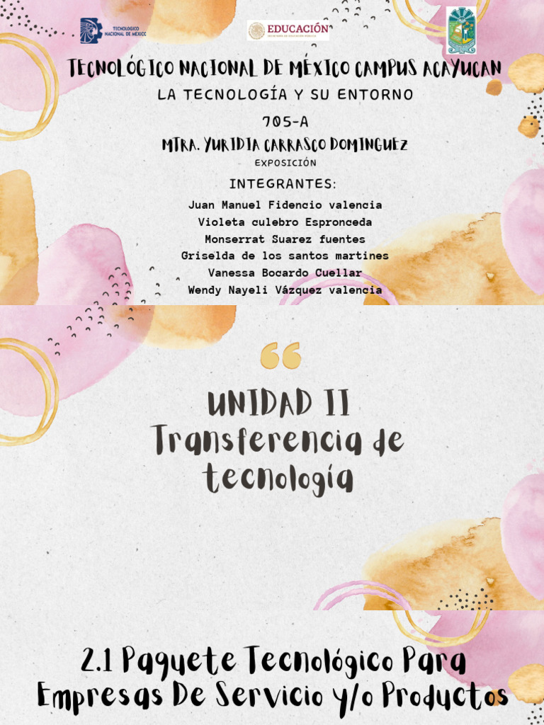 Paquetes Tecnológicos para Negocios | PDF | Informática | Tecnología