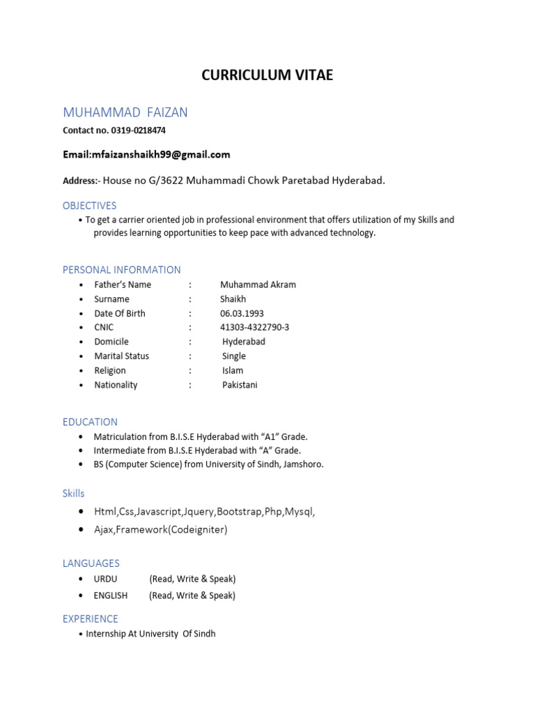 Muhammad Faizan CV | PDF