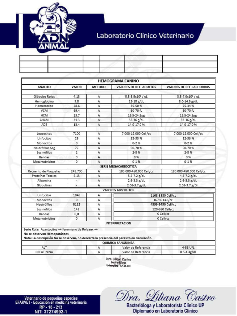 Erika Chacon Alegria CH Maskoticas Kukuta | PDF