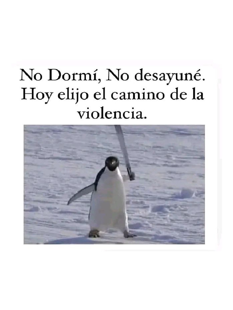 Image To PDF 20240913 074423 | PDF