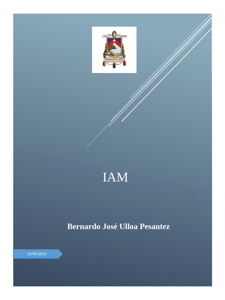 IAM | PDF
