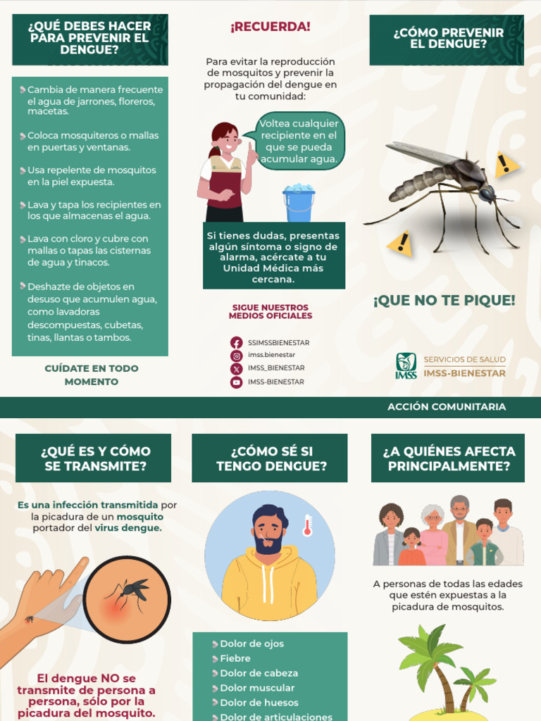 Tríptico Dengue | PDF