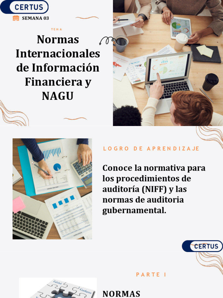 Auditoria s3.1 Niif y Nagu | PDF