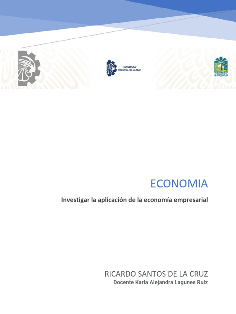 Aplicaci-N de La Econom-A Empresarial | PDF