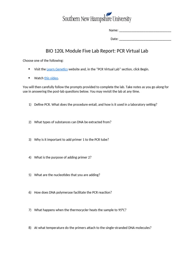 BIO 120L M5 PCR Virtual Lab Report | PDF